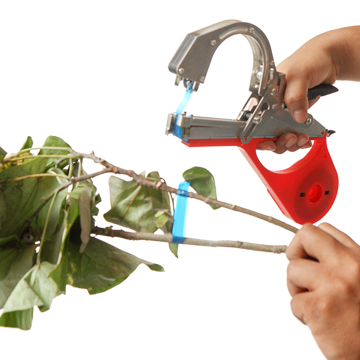 Tape Tool | Manual Agri Tools – Bigtail Mart